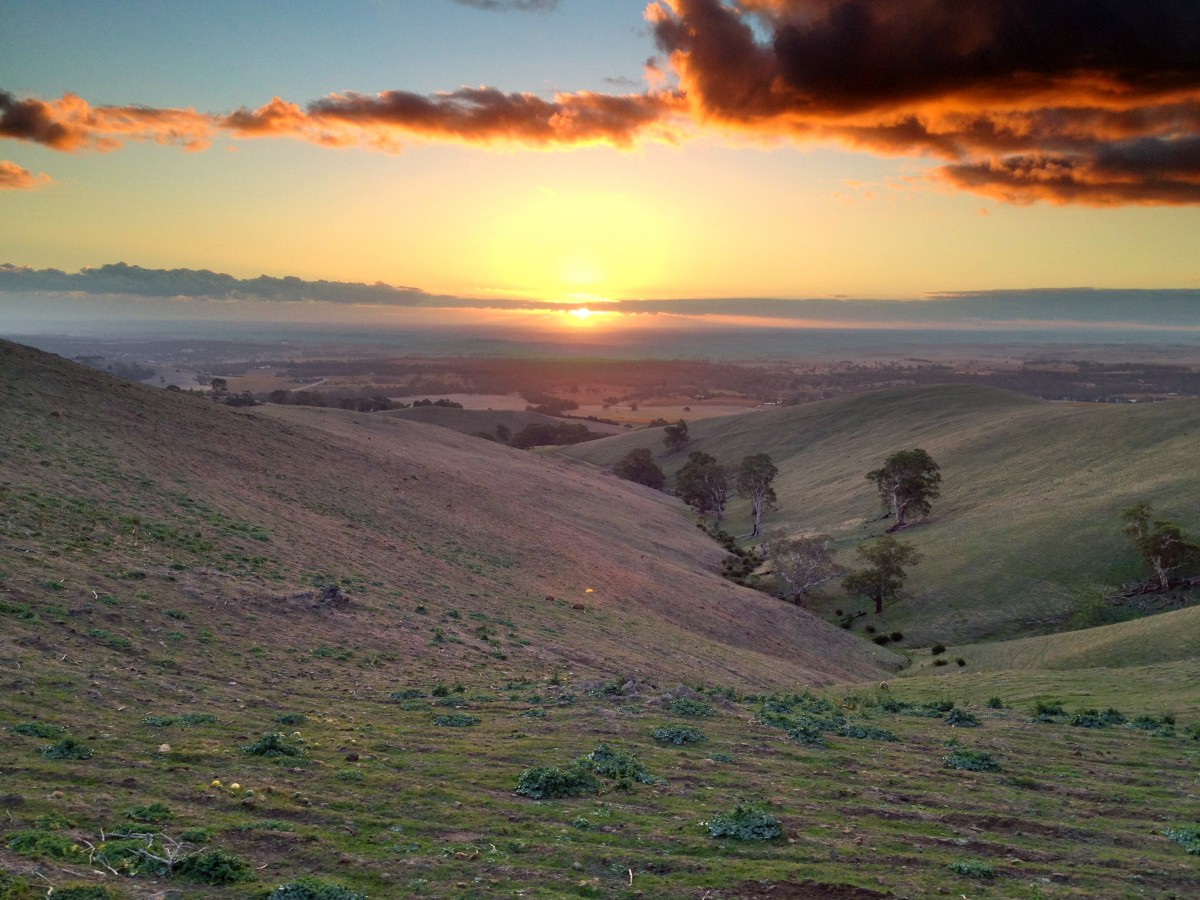 10 Absolutely Stunning Images Of Australia’s Wine Country | Drink Me ...
