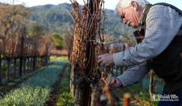 St. Helena Appellation: Everything You Need To Know & The Top 10 ...