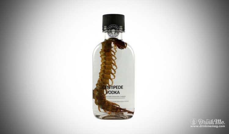 The Weirdest Insects You’ll Find In Booze | Drink Me Magazine