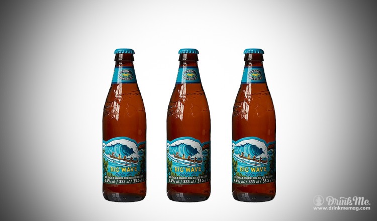 The Top 5 Tropical Themed Beers For Your Money | Drink Me Magazine