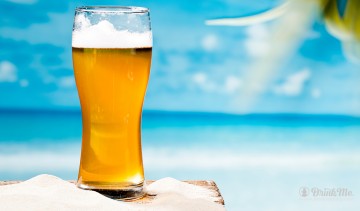 The Top 5 Tropical Themed Beers For Your Money | Drink Me Magazine