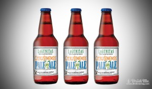 Zesty and Refreshing; The Top 4 Orange Beers | Drink Me Magazine